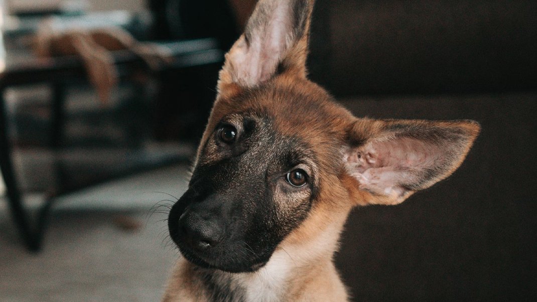 State Department Acronyms - The Expat Essentials